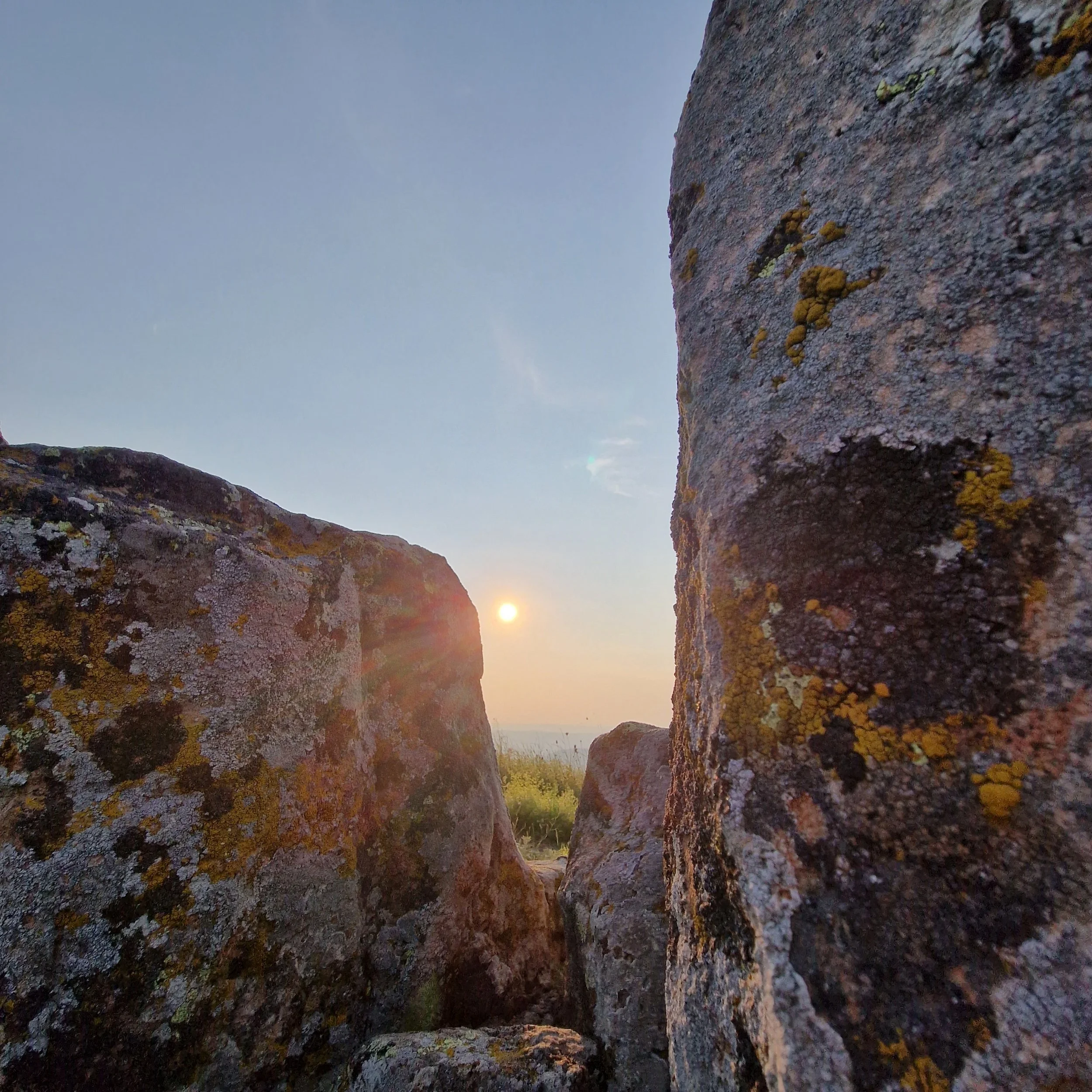 Blog — Mojca Fo Art