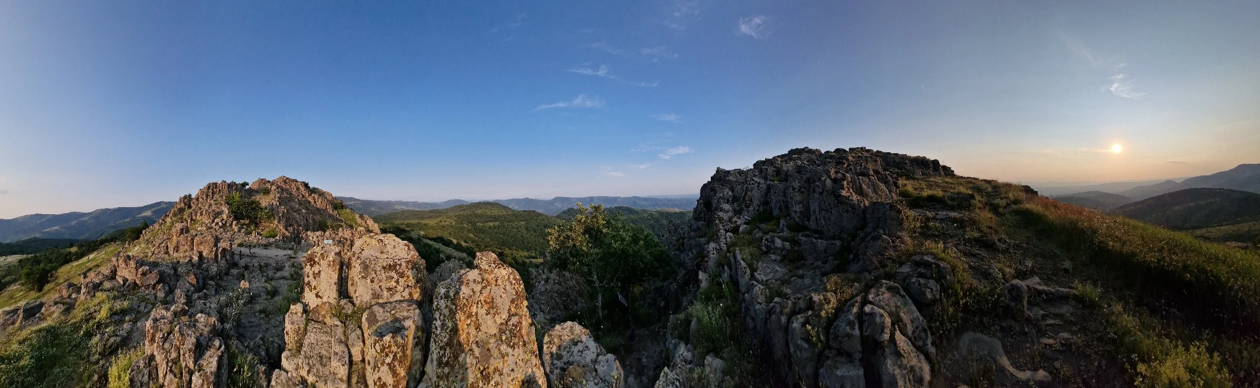 Blog — Mojca Fo Art