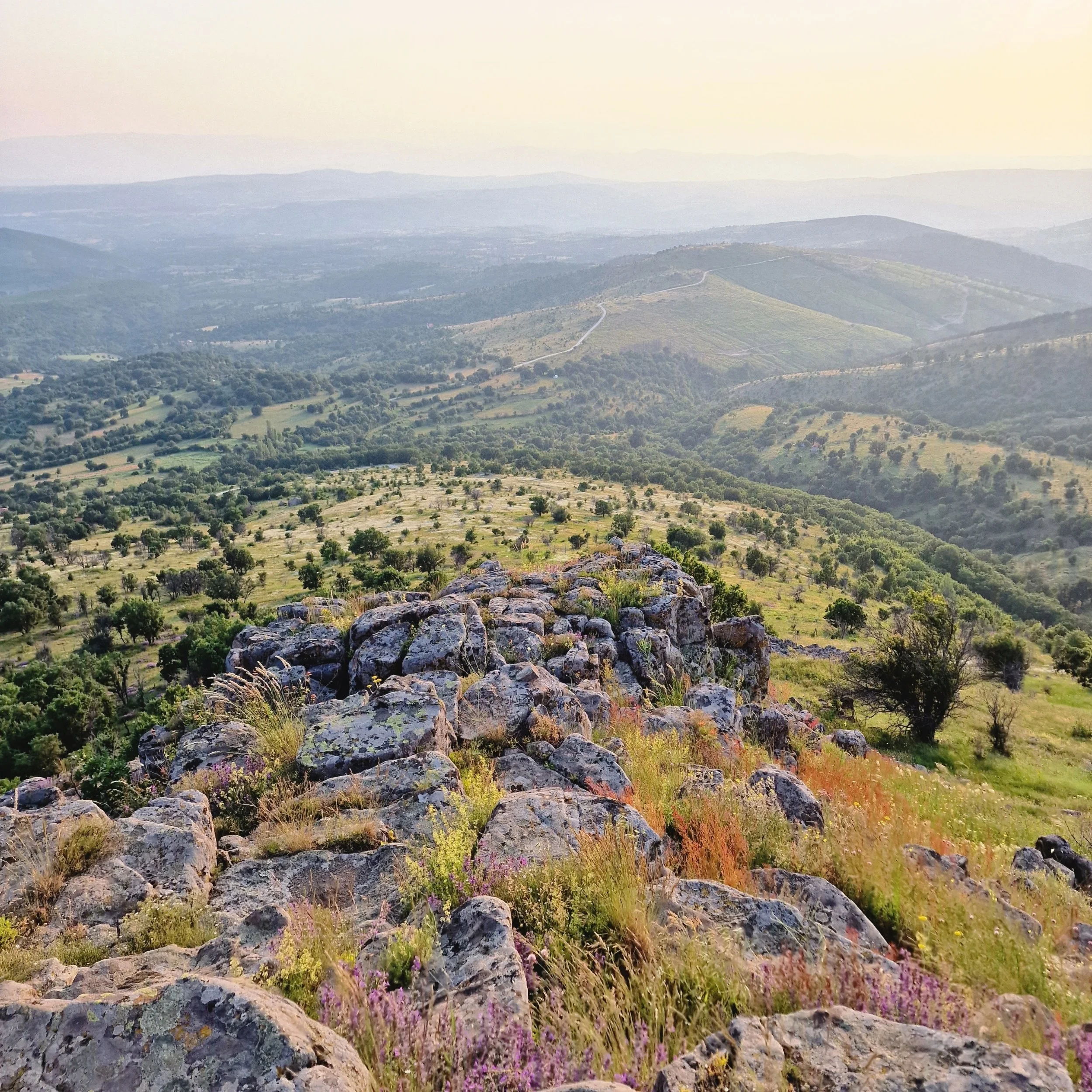 Blog — Mojca Fo Art