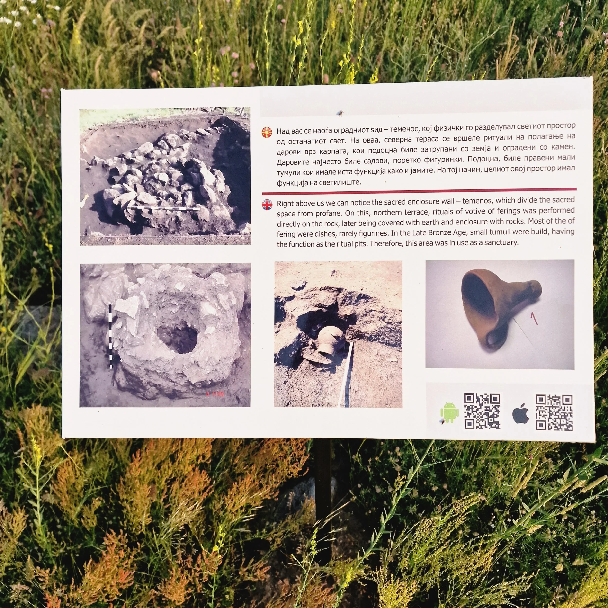 Blog — Mojca Fo Art