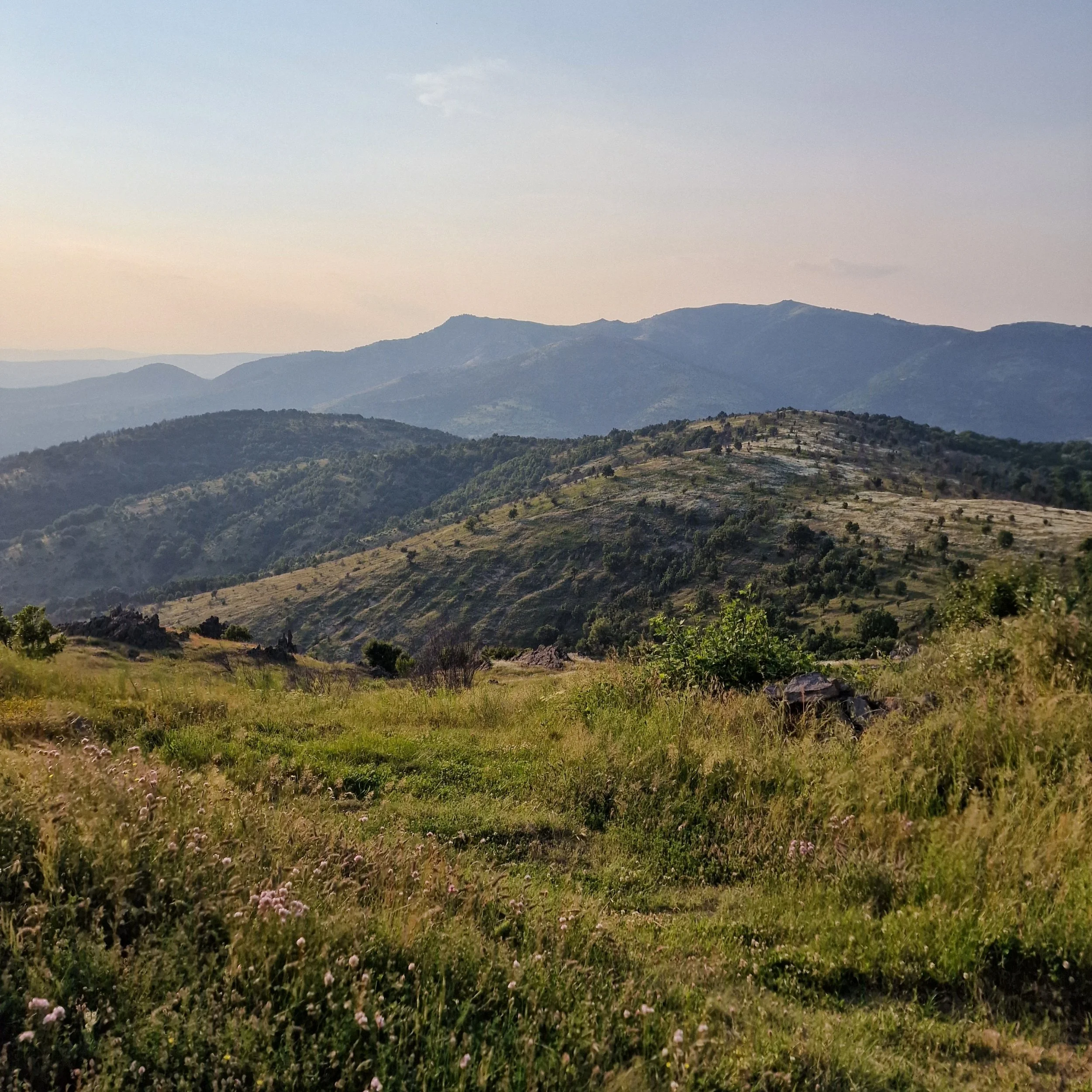 Blog — Mojca Fo Art