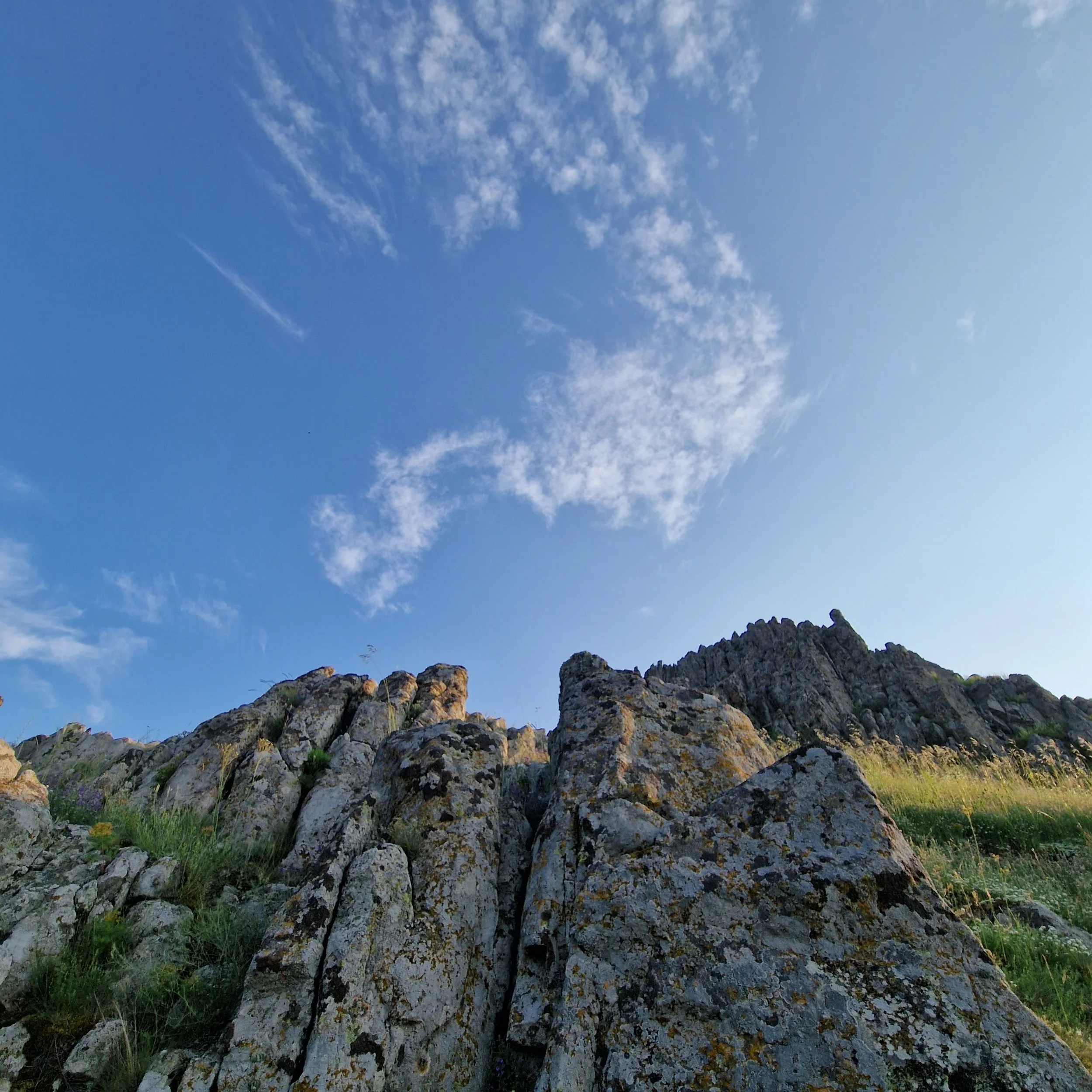 Blog — Mojca Fo Art