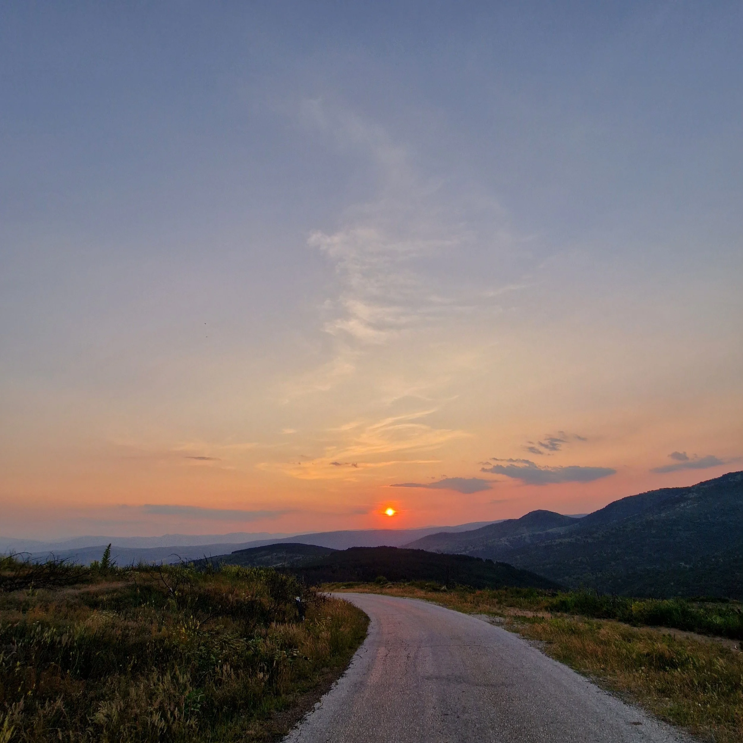 Blog — Mojca Fo Art