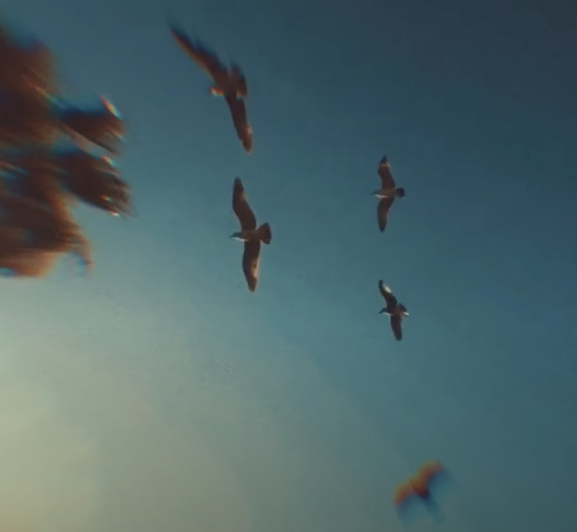 ZADI DIAZ | Filmmaker. Photographer. Visual Storyteller.