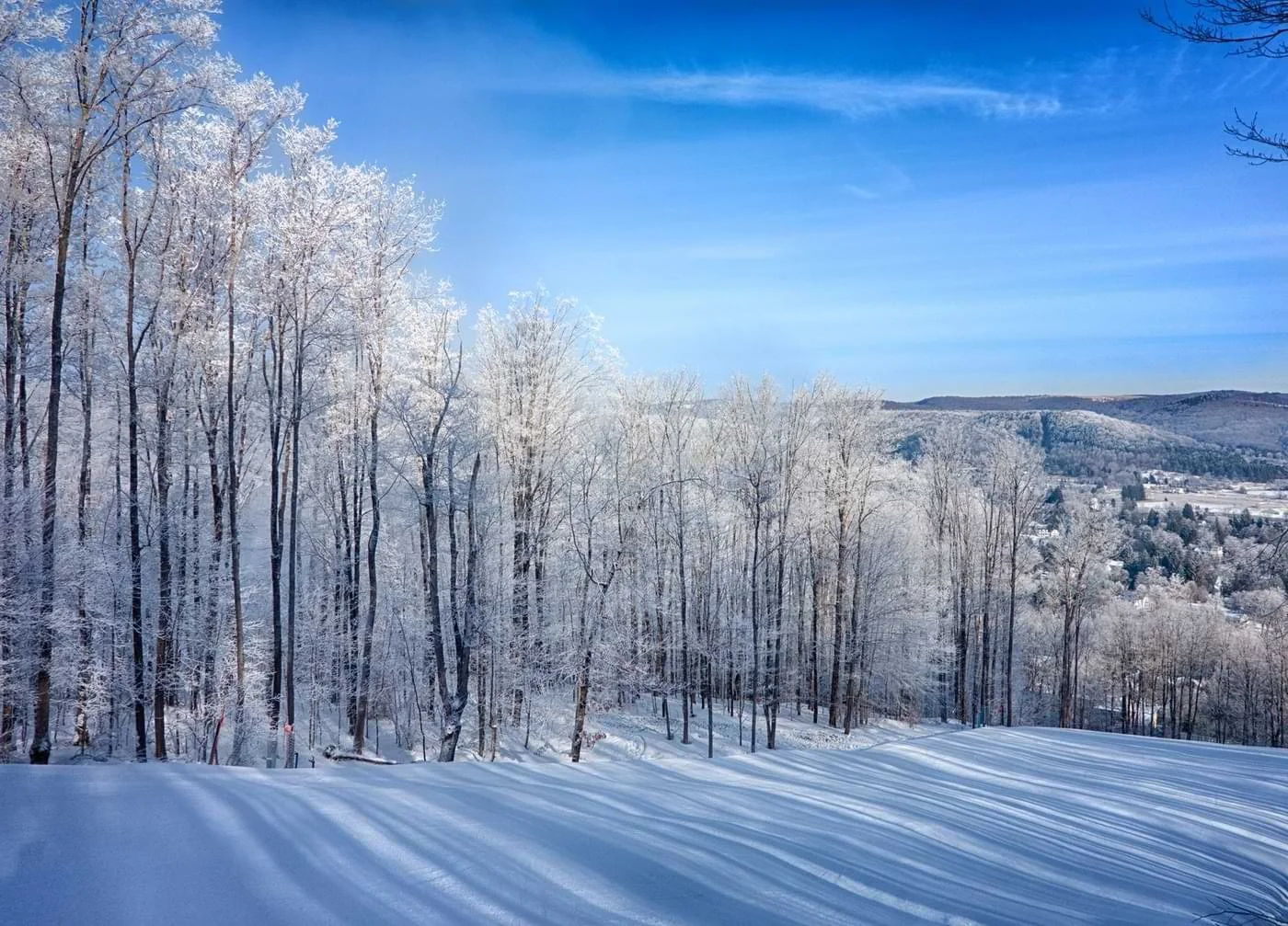Holimont Webcam | Mountain Cams | Live Snow Cam