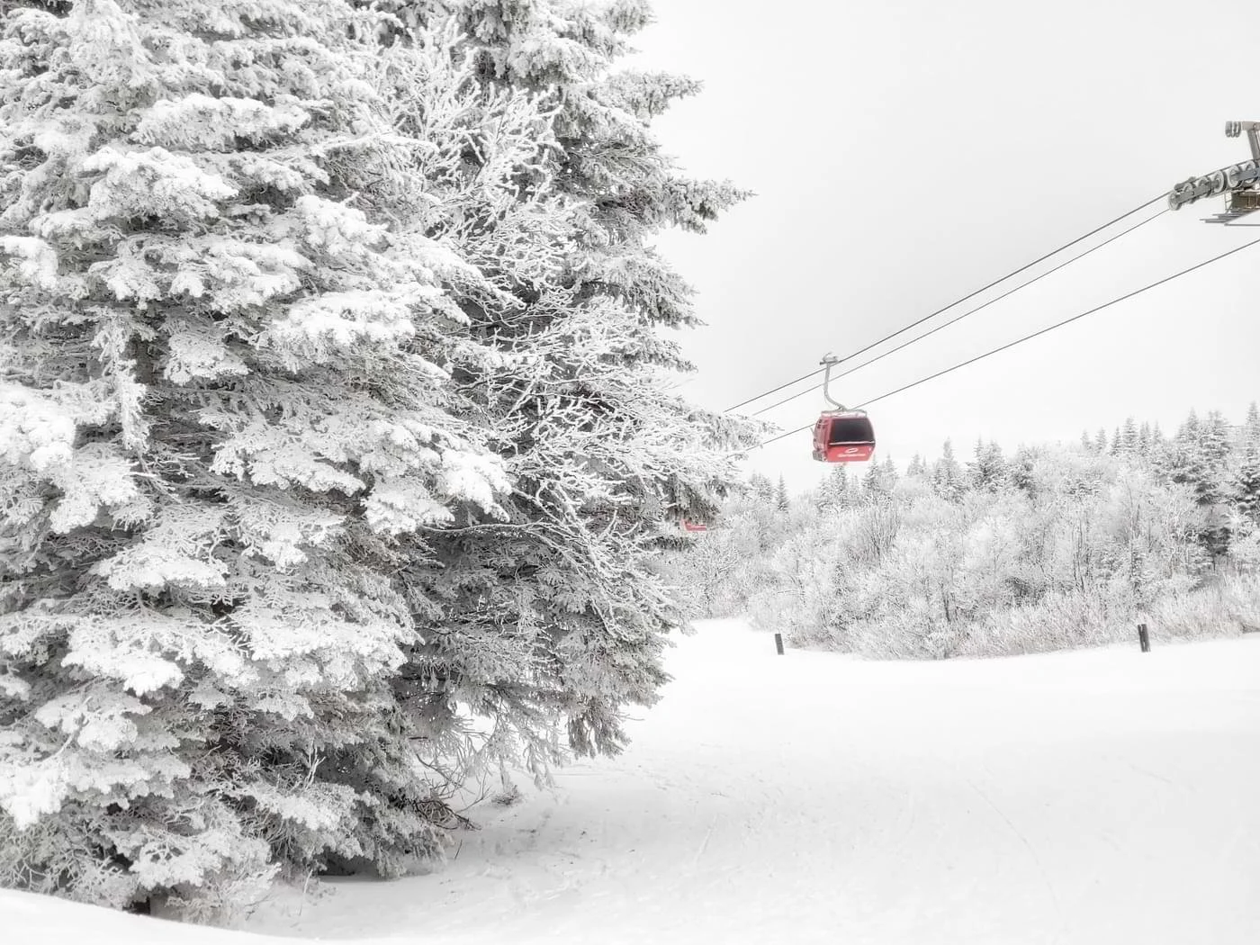 Mont Sainte Anne Ski Resort | Trail Maps | Quebec