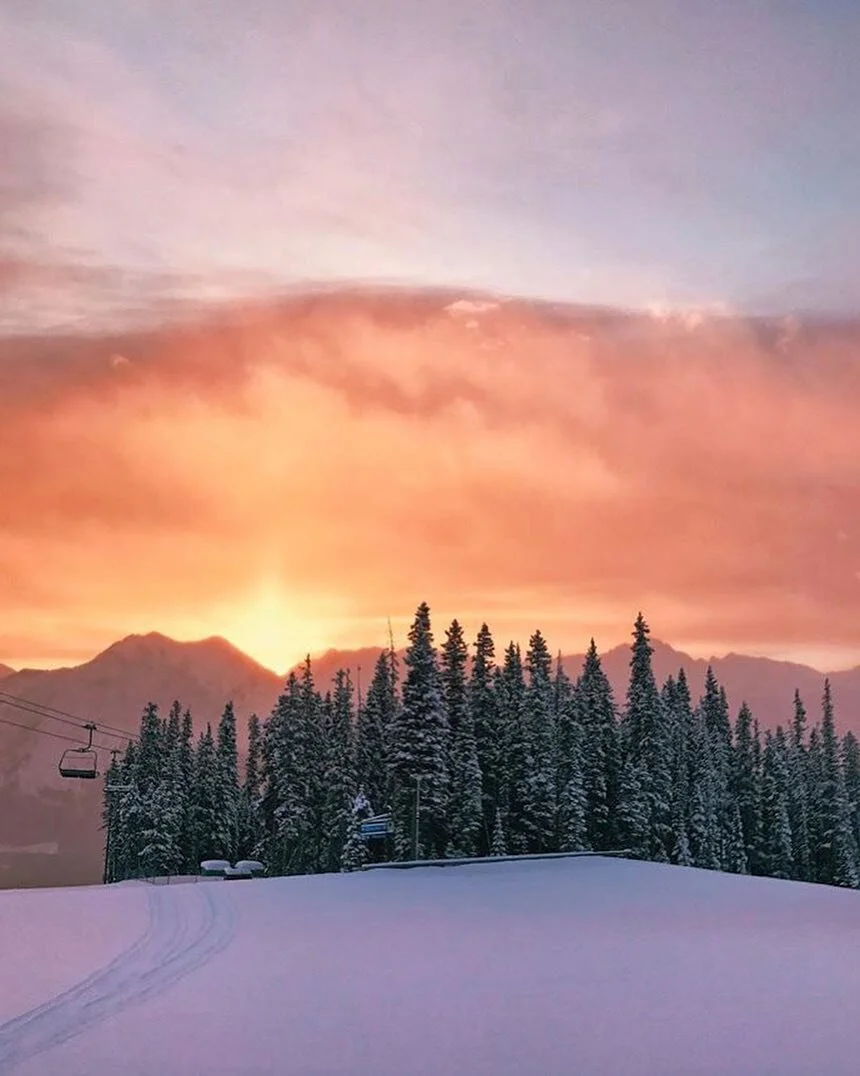 Marmot Basin – Trail Map – Alberta Marmot Basin – Trail Map – Alberta