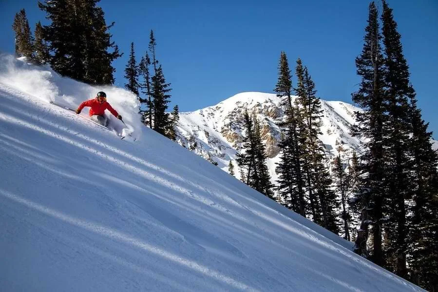 Snowbird Webcams | Snowbird Live Cams | Utah