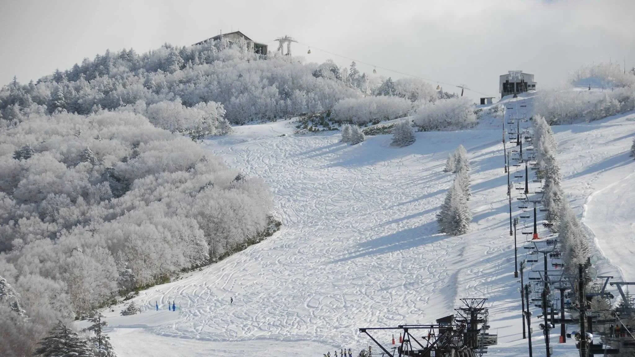 Shiga Kogen Ski Resort | Nagano | Japan