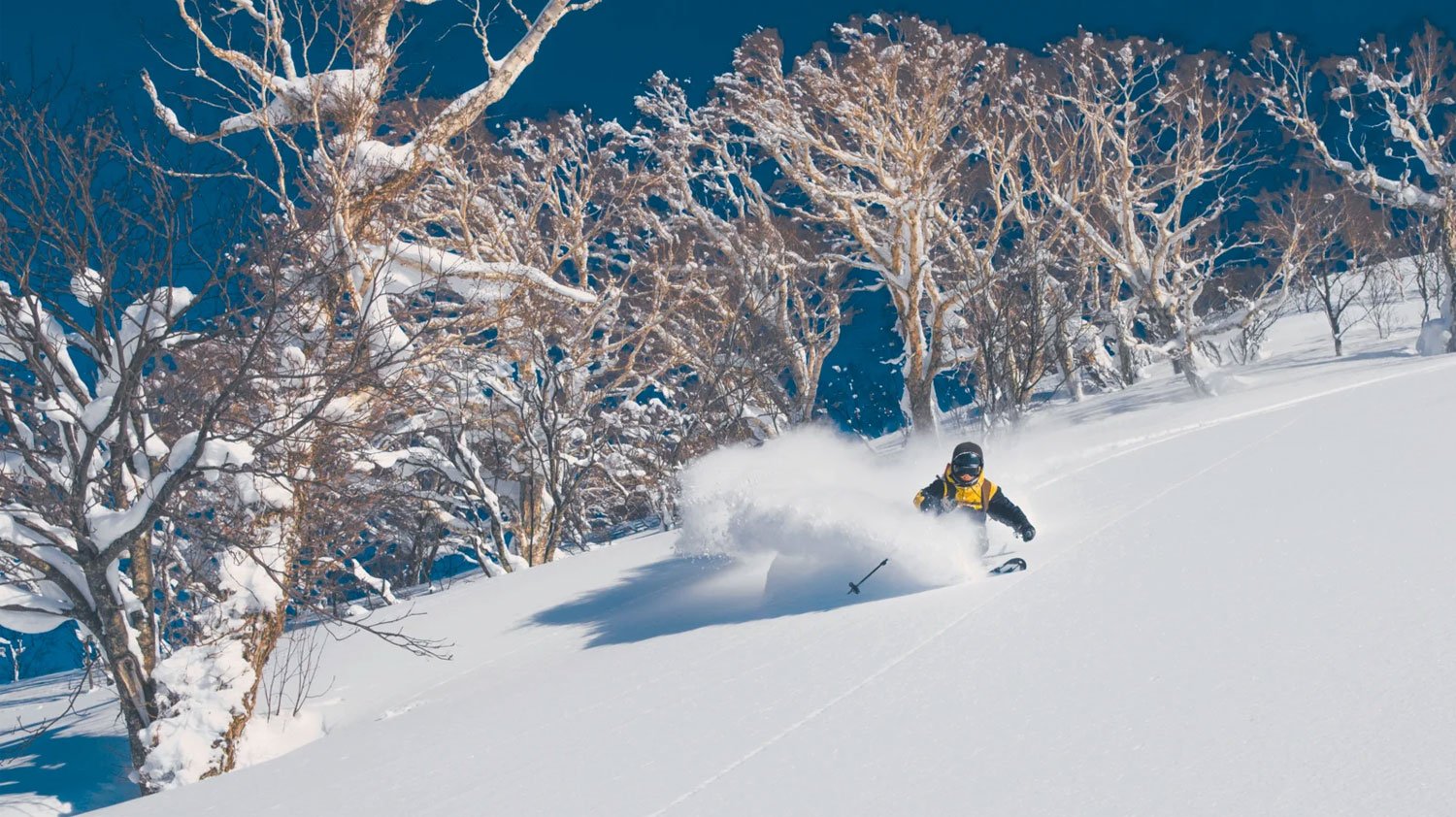 Explore Japans Famous Powder Snow