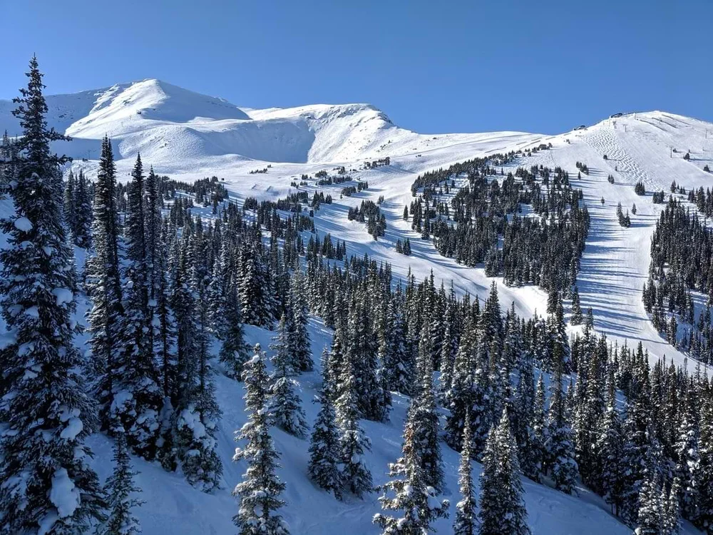 Marmot Basin – Trail Map – Alberta