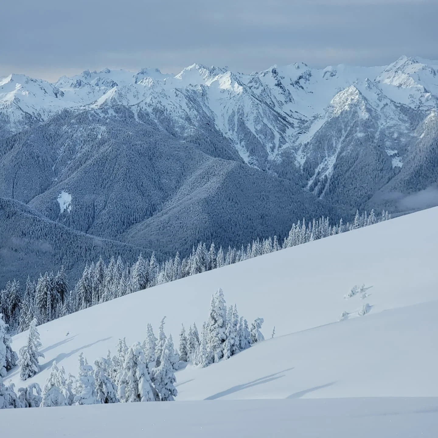Hurricane Ridge Web Cam | Resort Cams | Live Snow Cam