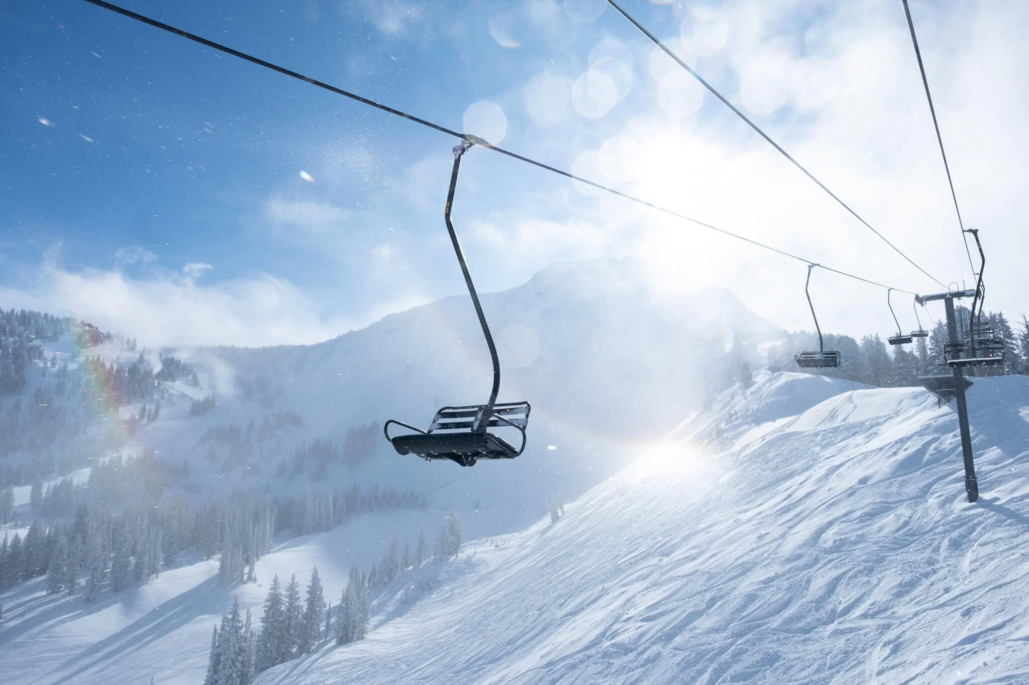 Alta Ski Resorts Trails Open: Alta Ski Area Map – QGWR