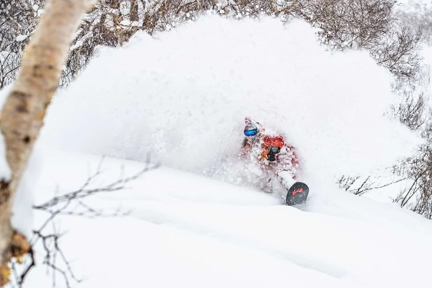 Hokkaido | Home to Japans Wild Winter North