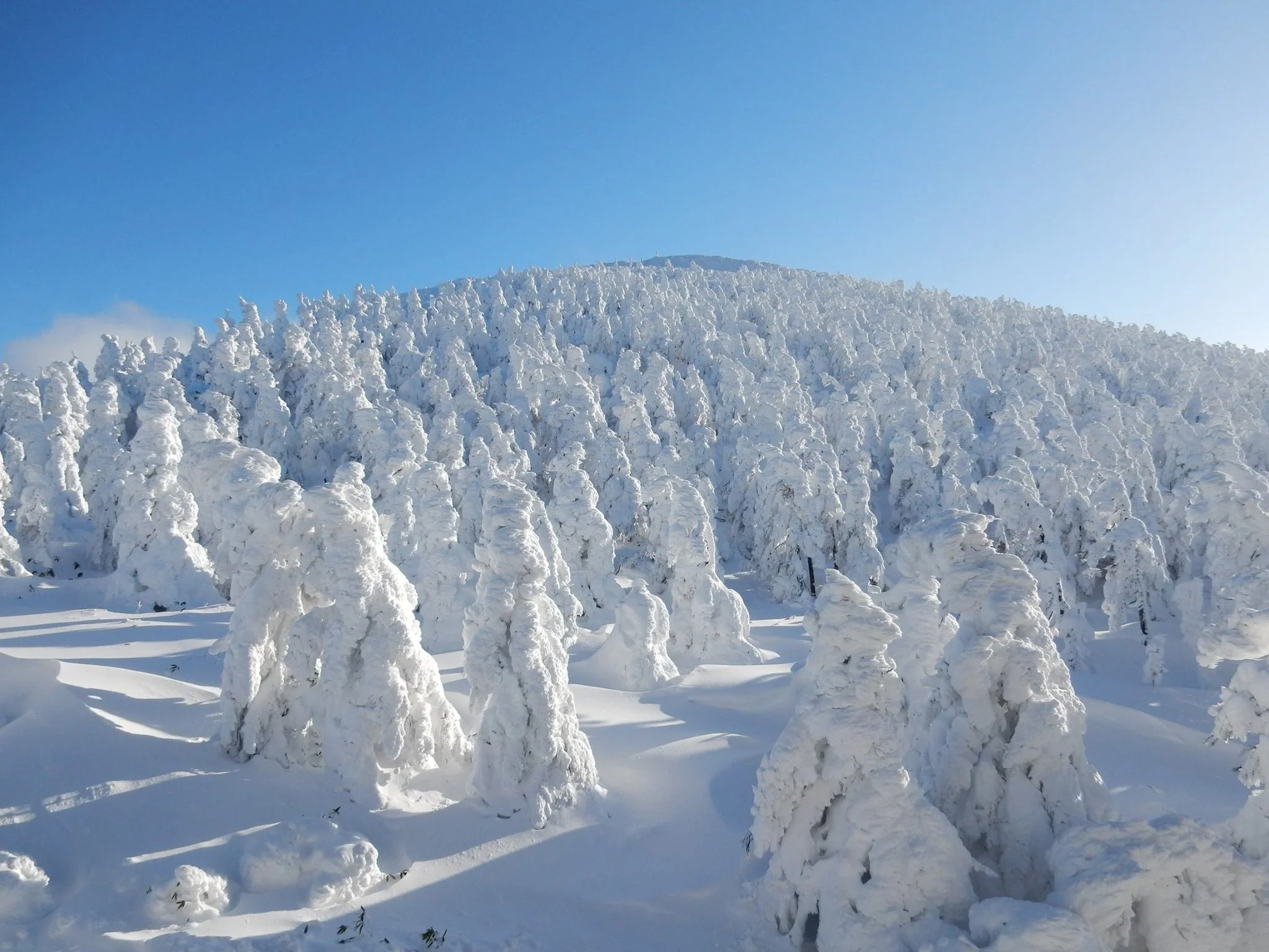 Zao Onsen Trail Map | Yamagata Prefecture Ski Map