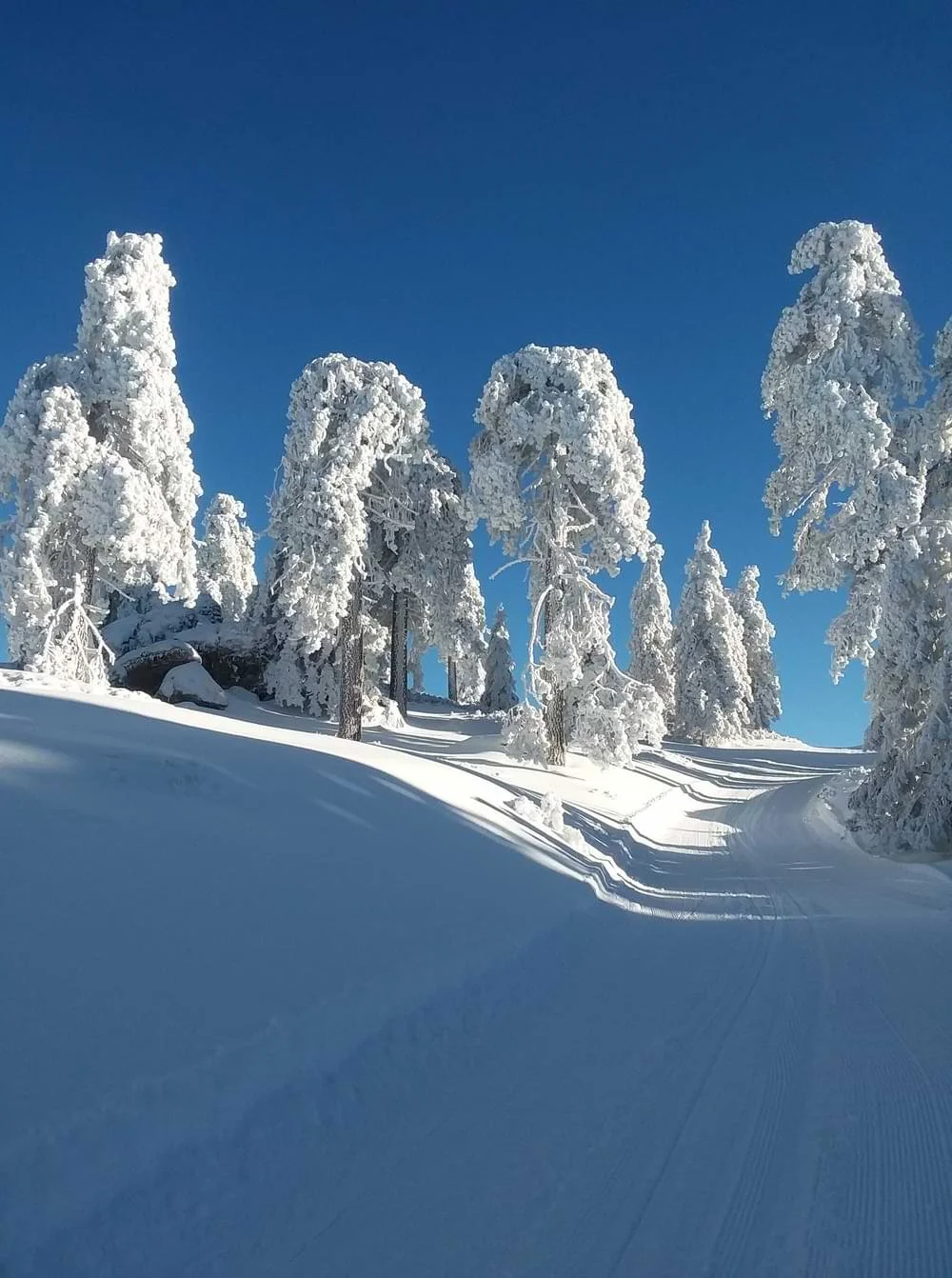 Heavenly Ski Resort Webcam - Mountain Cams - Live Snow Cam