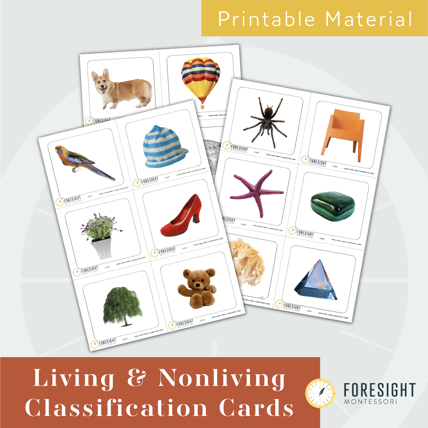Shop Printables — Foresight Montessori