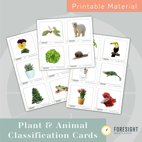 Shop Printables — Foresight Montessori