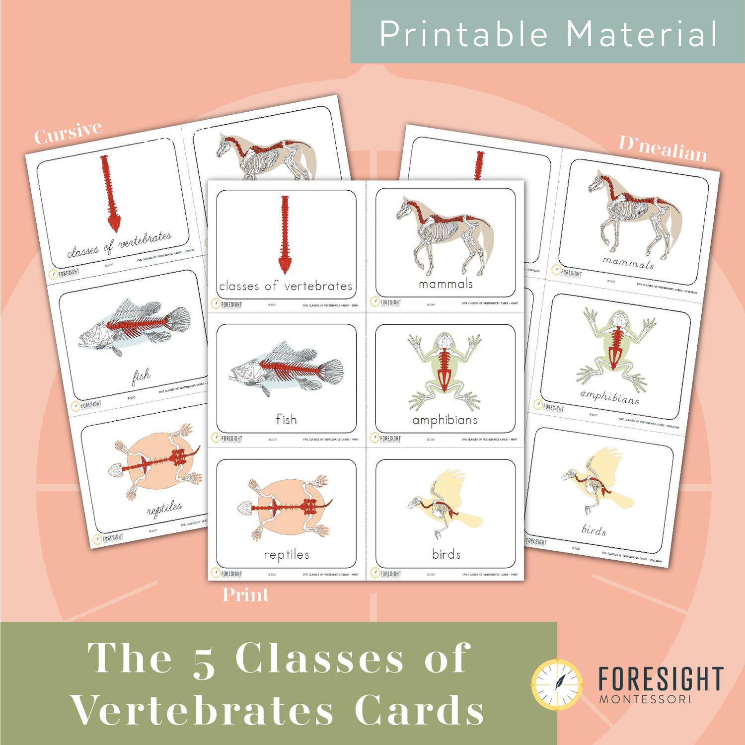 Shop Printables — Foresight Montessori