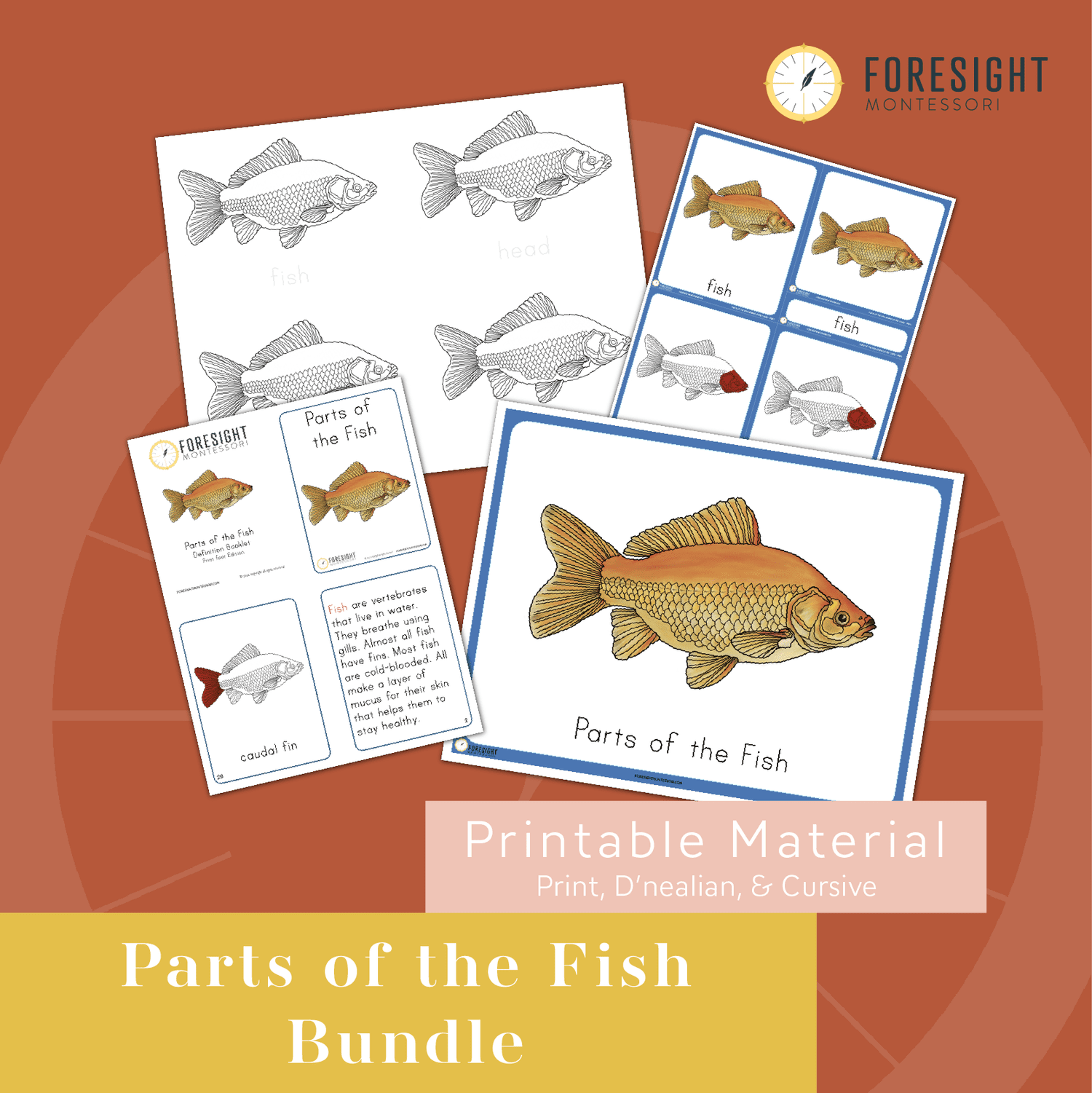 Shop Printables — Foresight Montessori