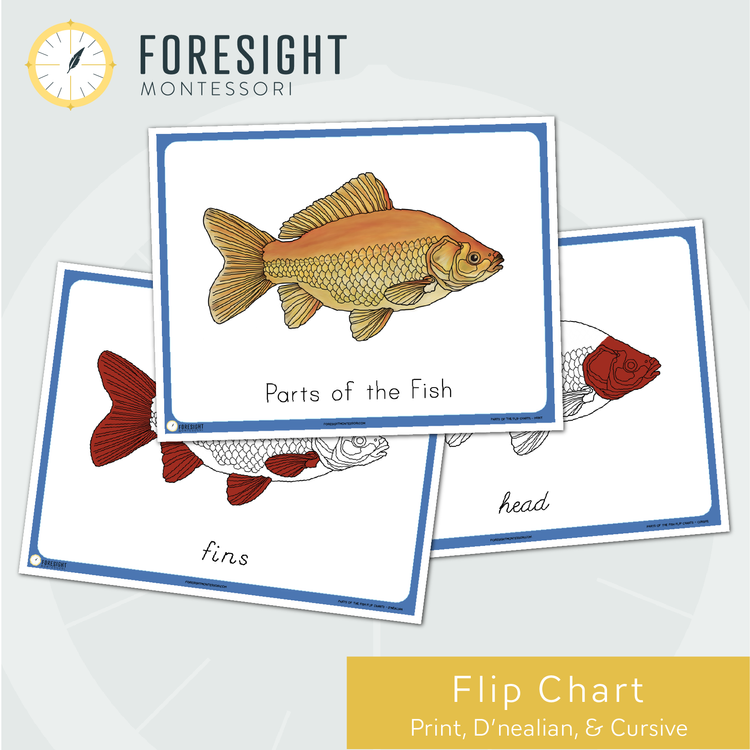 Shop Printables — Foresight Montessori