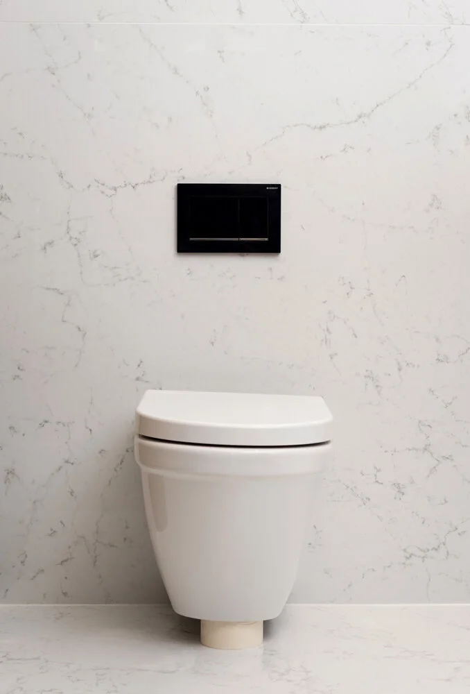 Drumquinna | Toilet Flush Plate — Qualitile - Tiles & Bathrooms
