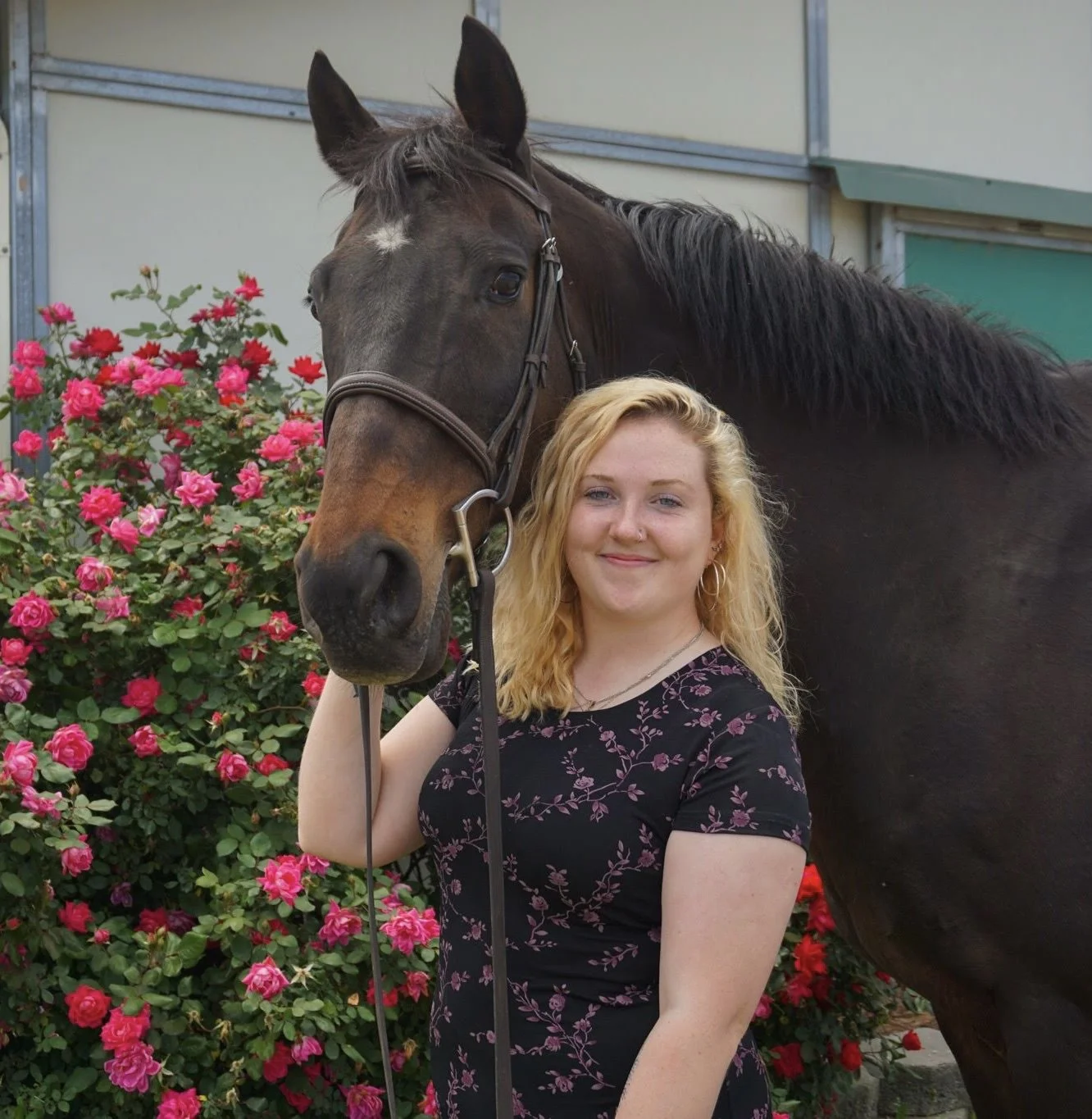 HorseAbility's Team — HorseAbility