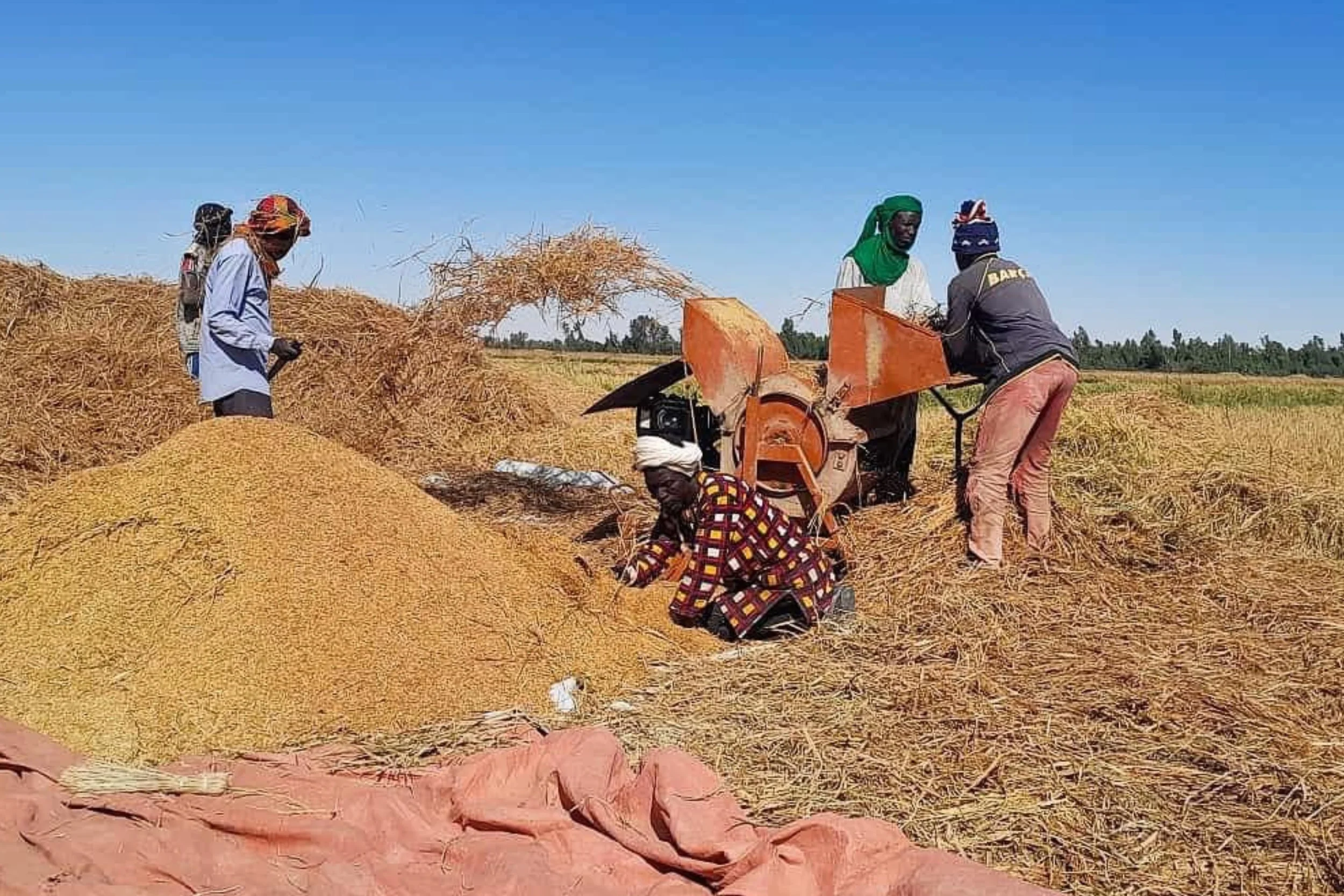 Vergers du Monde – Savoirs paysans du monde