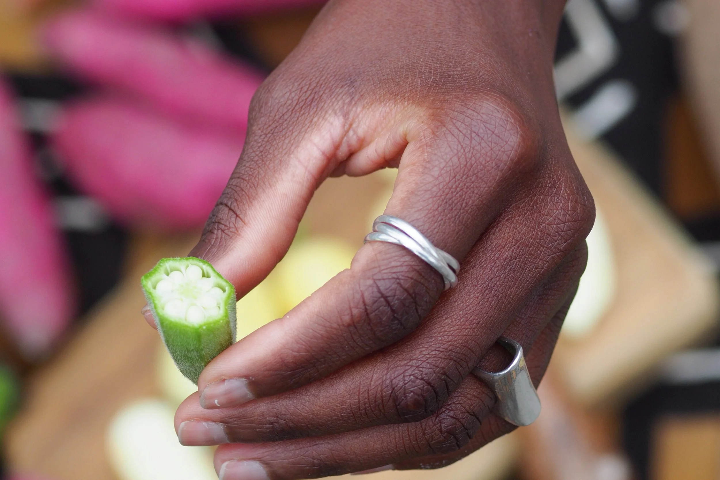 Cultiver le gombo — Vergers du Monde