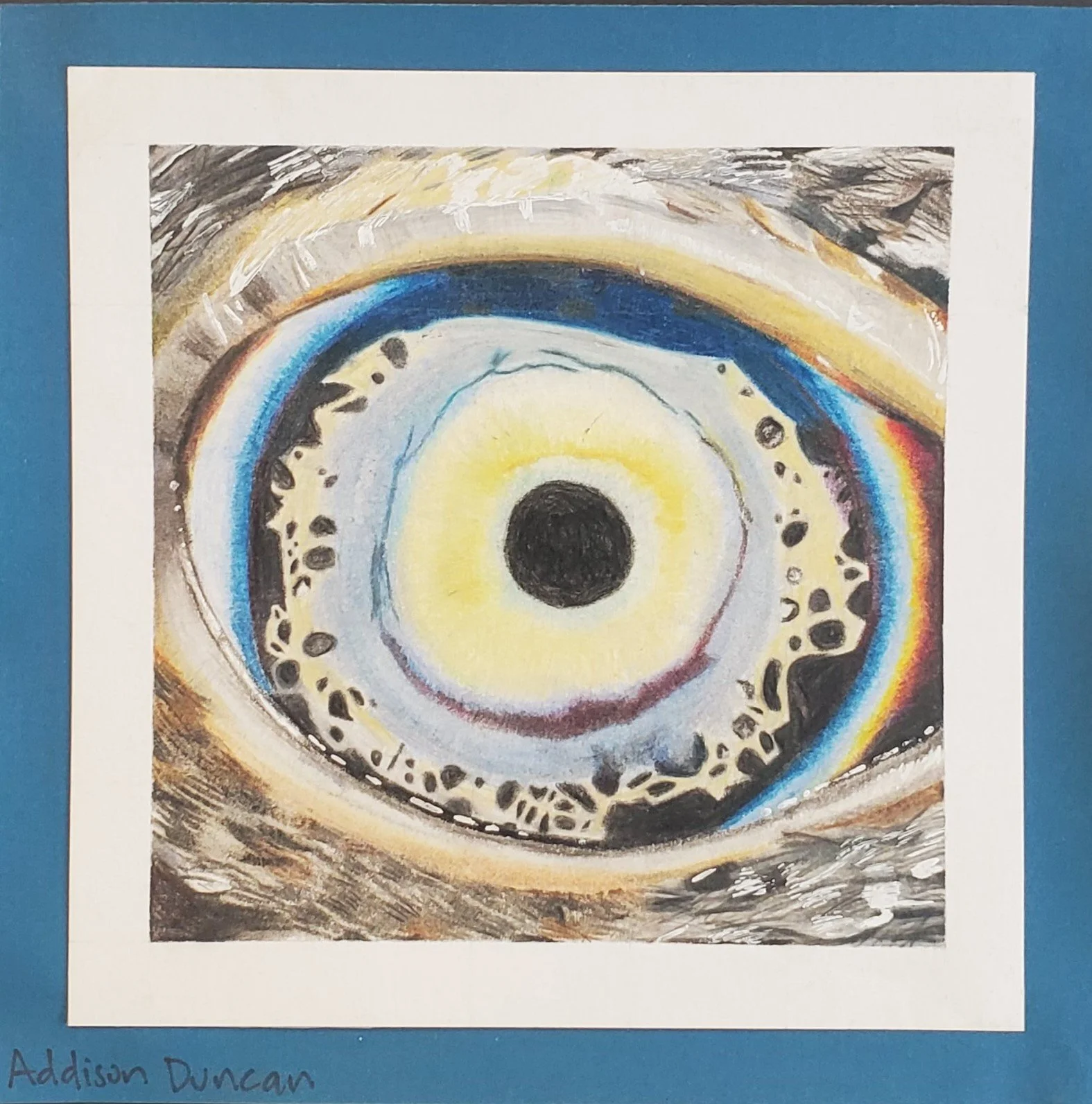 K-12 student exhibitions, including RCHSA, Private and Rowan/Salisbury ...