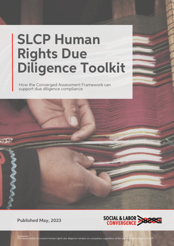 Positions — Social & Labor Convergence Program