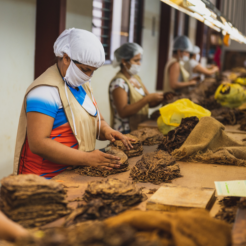 Social & Labor Convergence Program