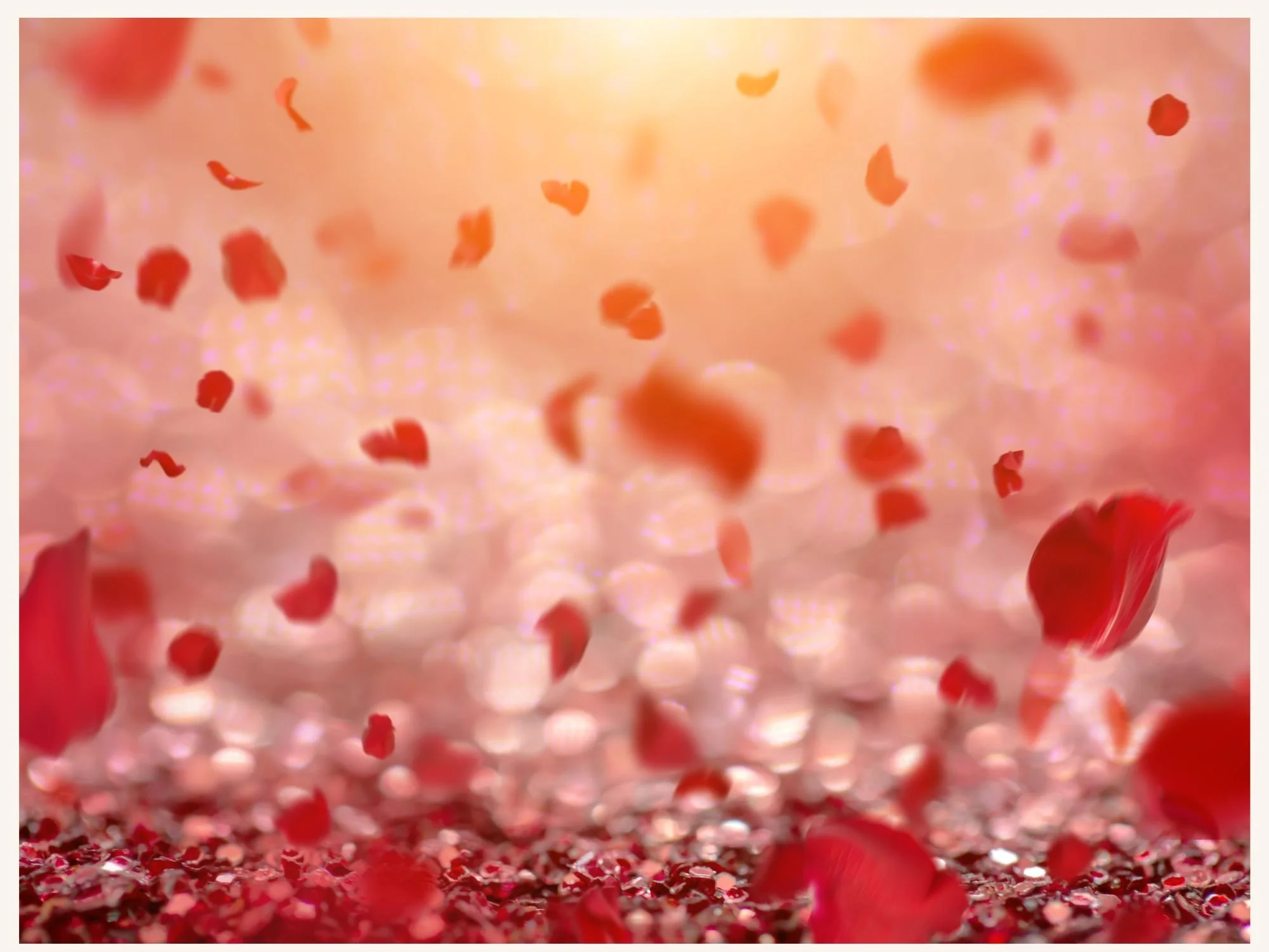 The Rose — Cathy Corbett