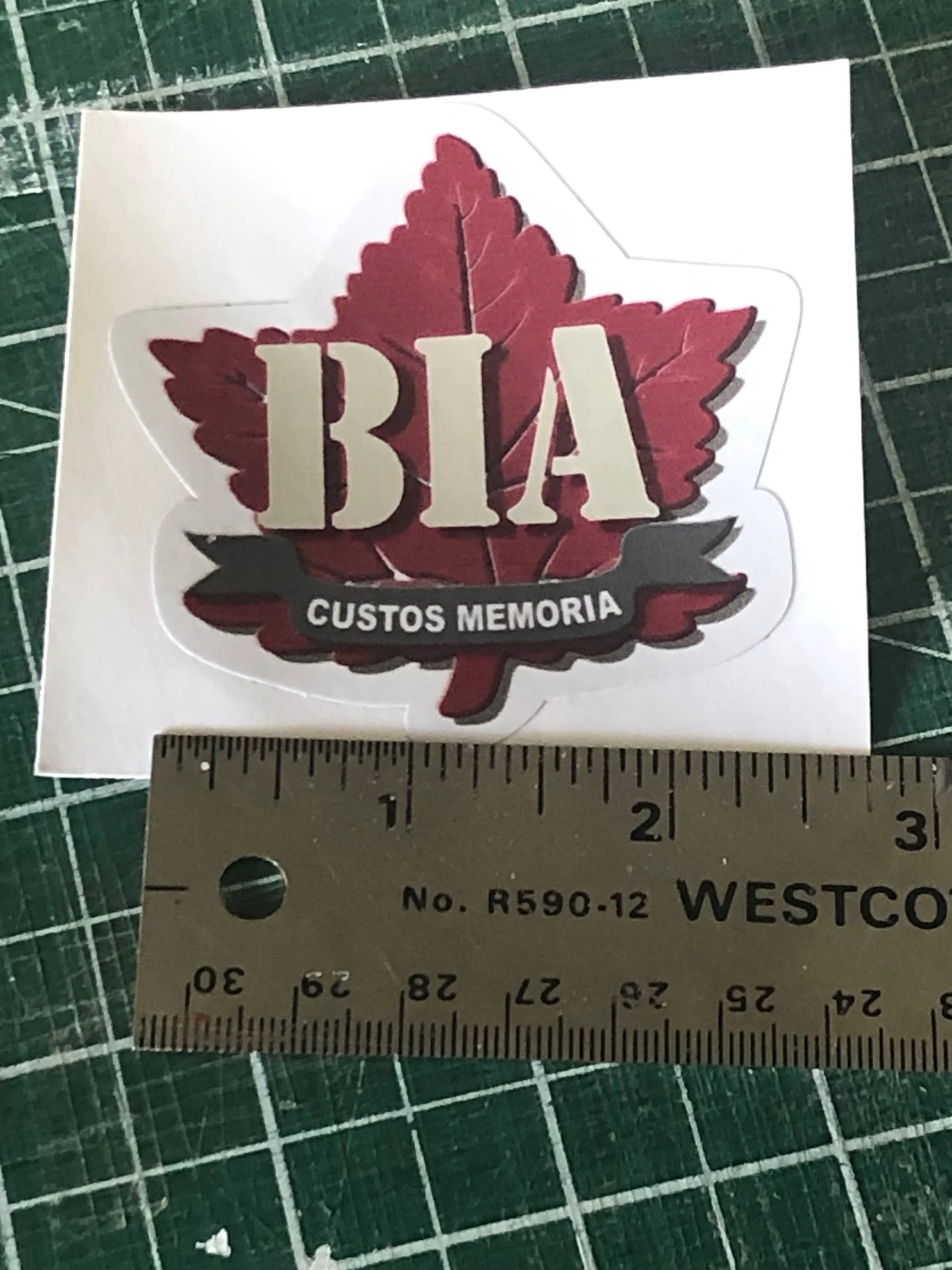 Bravery In Arms / Bravoure au Combat