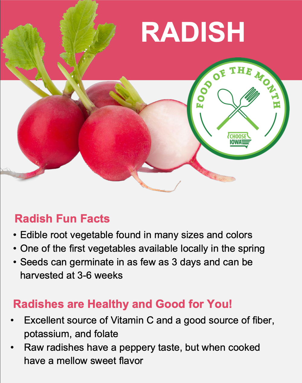 June Radish — Iowa Farm to School & Early Care Coalition