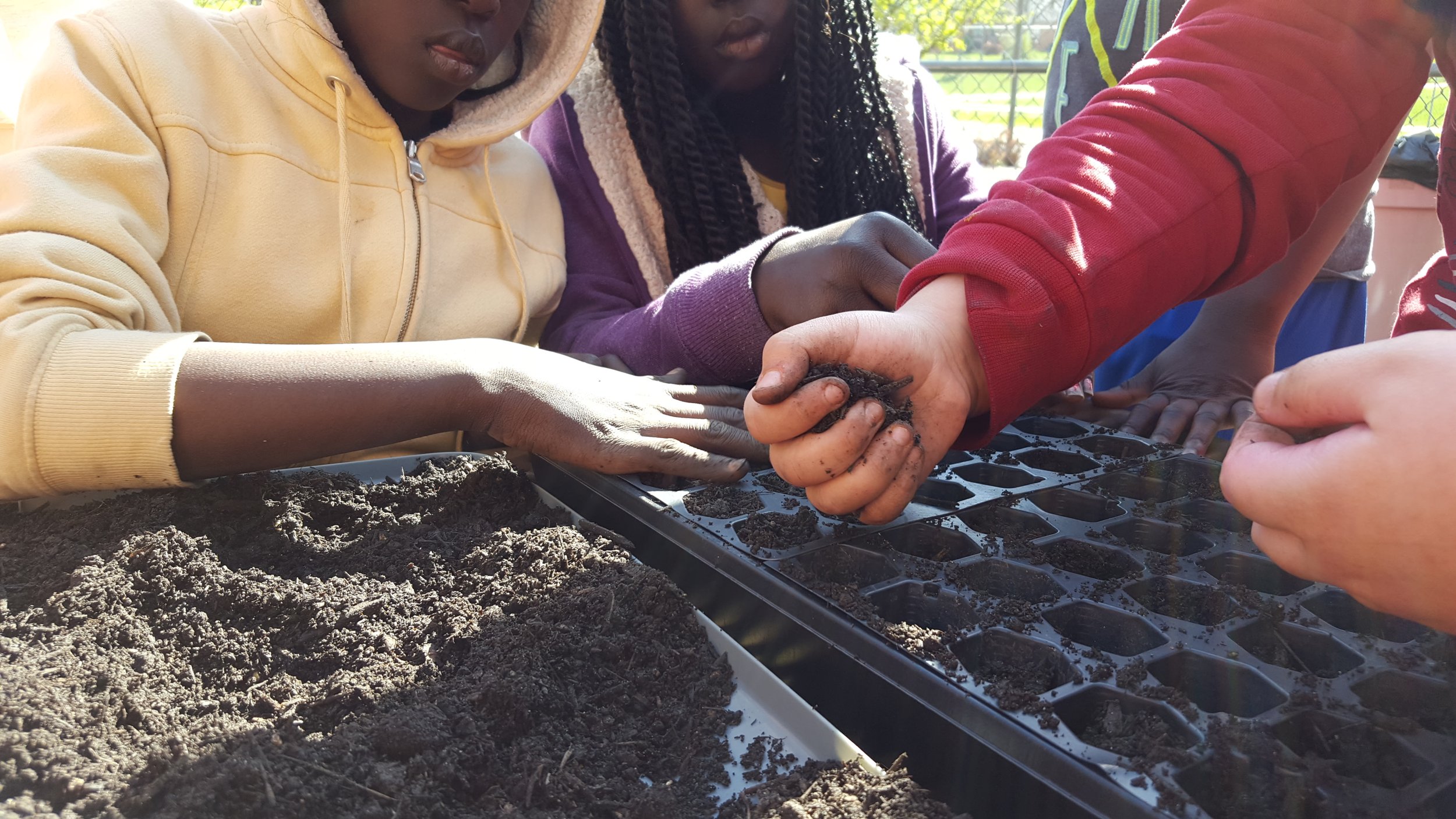 Iowa Farm to School and Early Care — Iowa Farm to School & Early Care ...