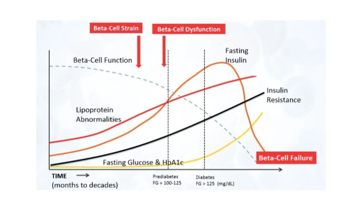 Insulin Resistance: What Is It and How To Treat It Naturally | Dr ...