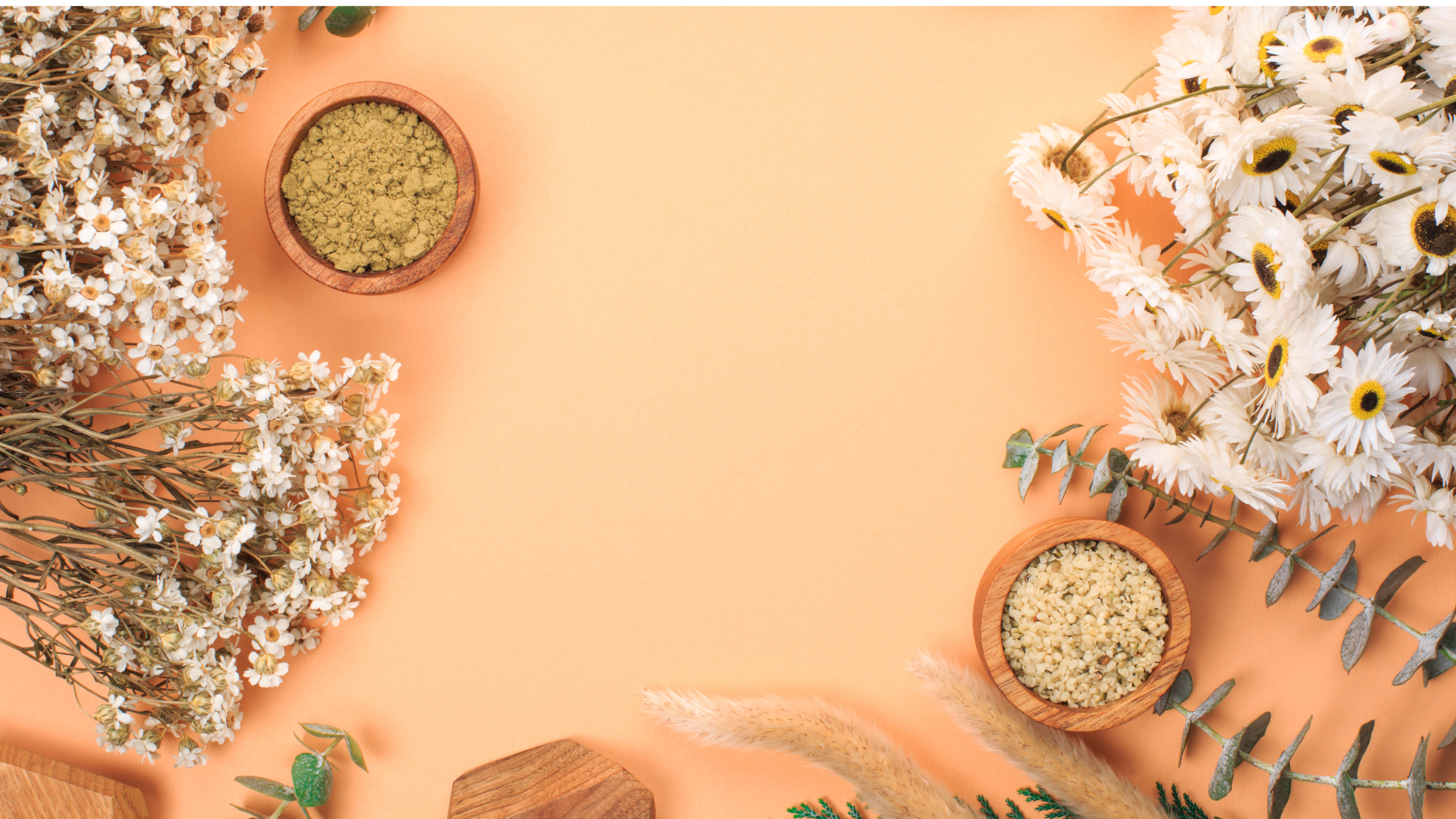 About Integrative Medicine | Dr. Linda Nykin ND