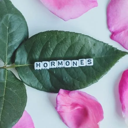 The Role of Hormone Testing : Understanding Your Body’s Chemical ...