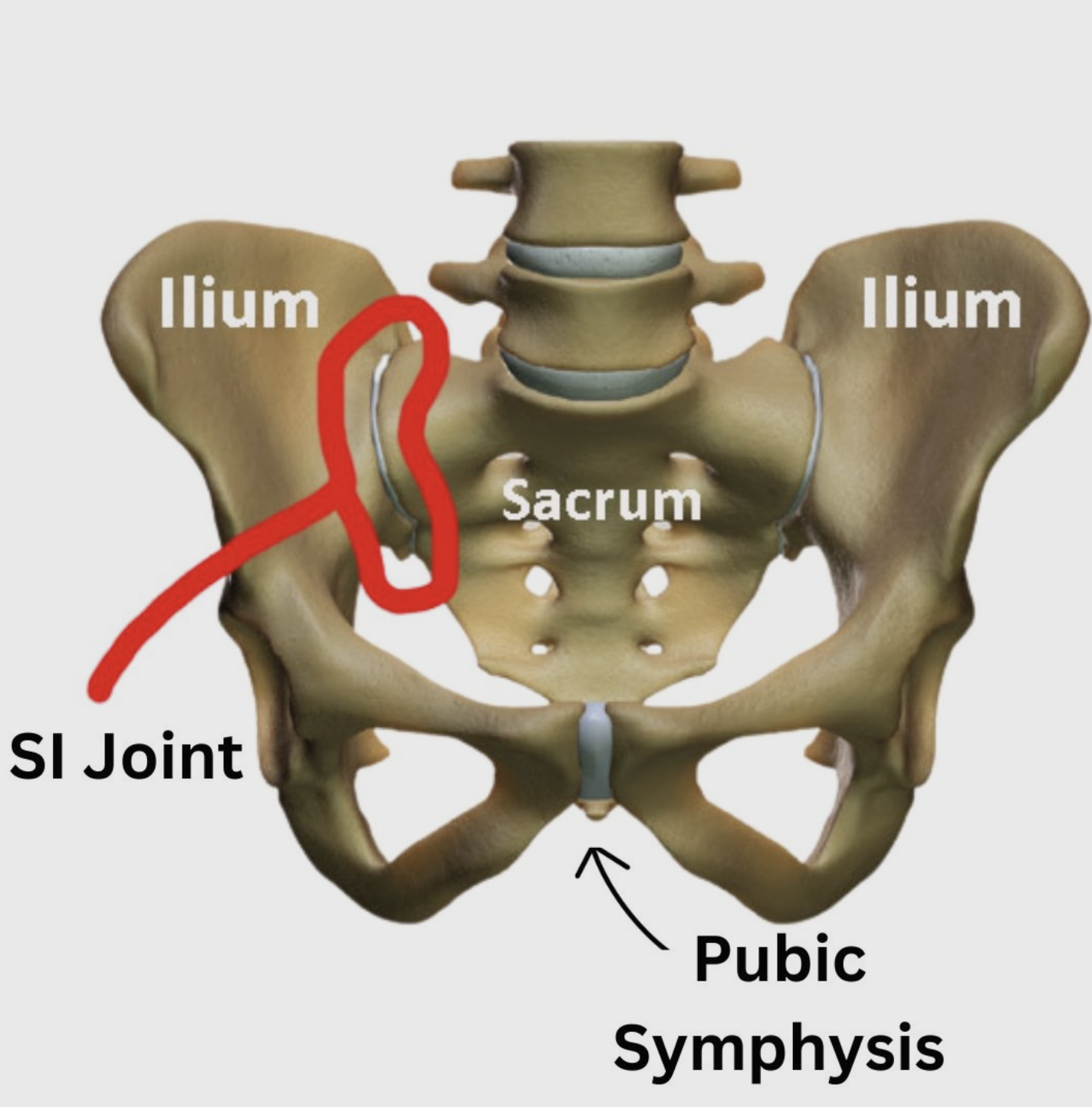 Pelvic Girdle Pain (PGP) & Pregnancy — Precision Chiropractic, Bedford NH