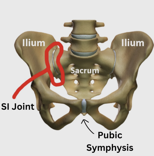 Pelvic Girdle Pain (PGP) & Pregnancy — Precision Chiropractic, Bedford NH