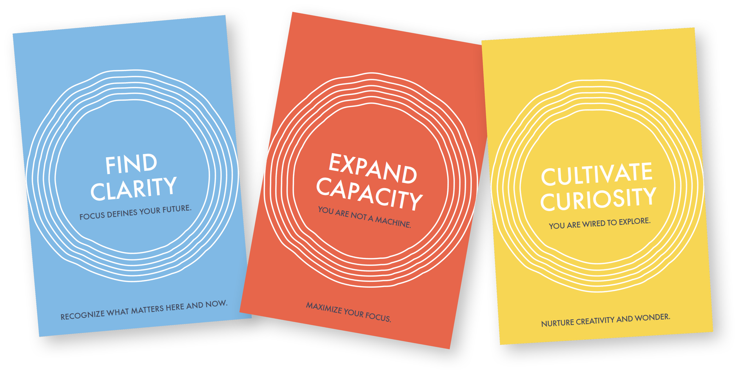 FocusFit Challenge — Focuswise