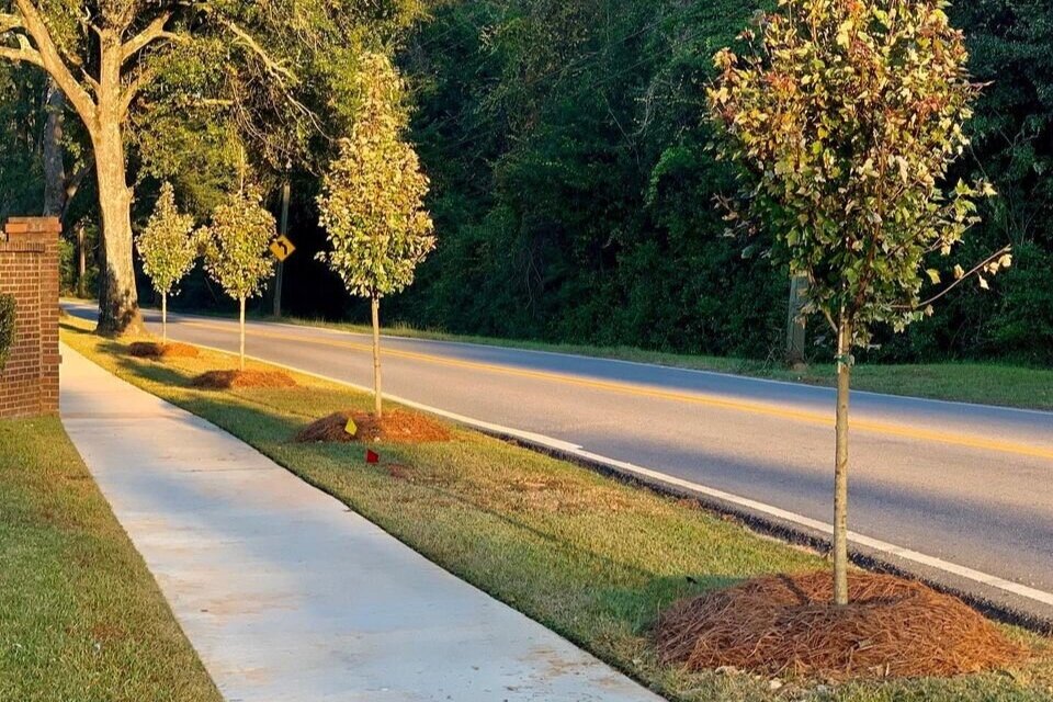 The Village of Spring Hill