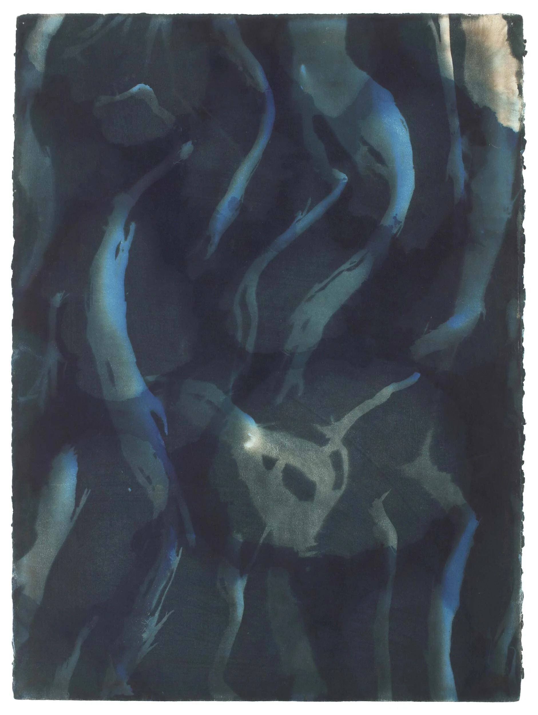 David W Simpson — Harris Harvey Gallery