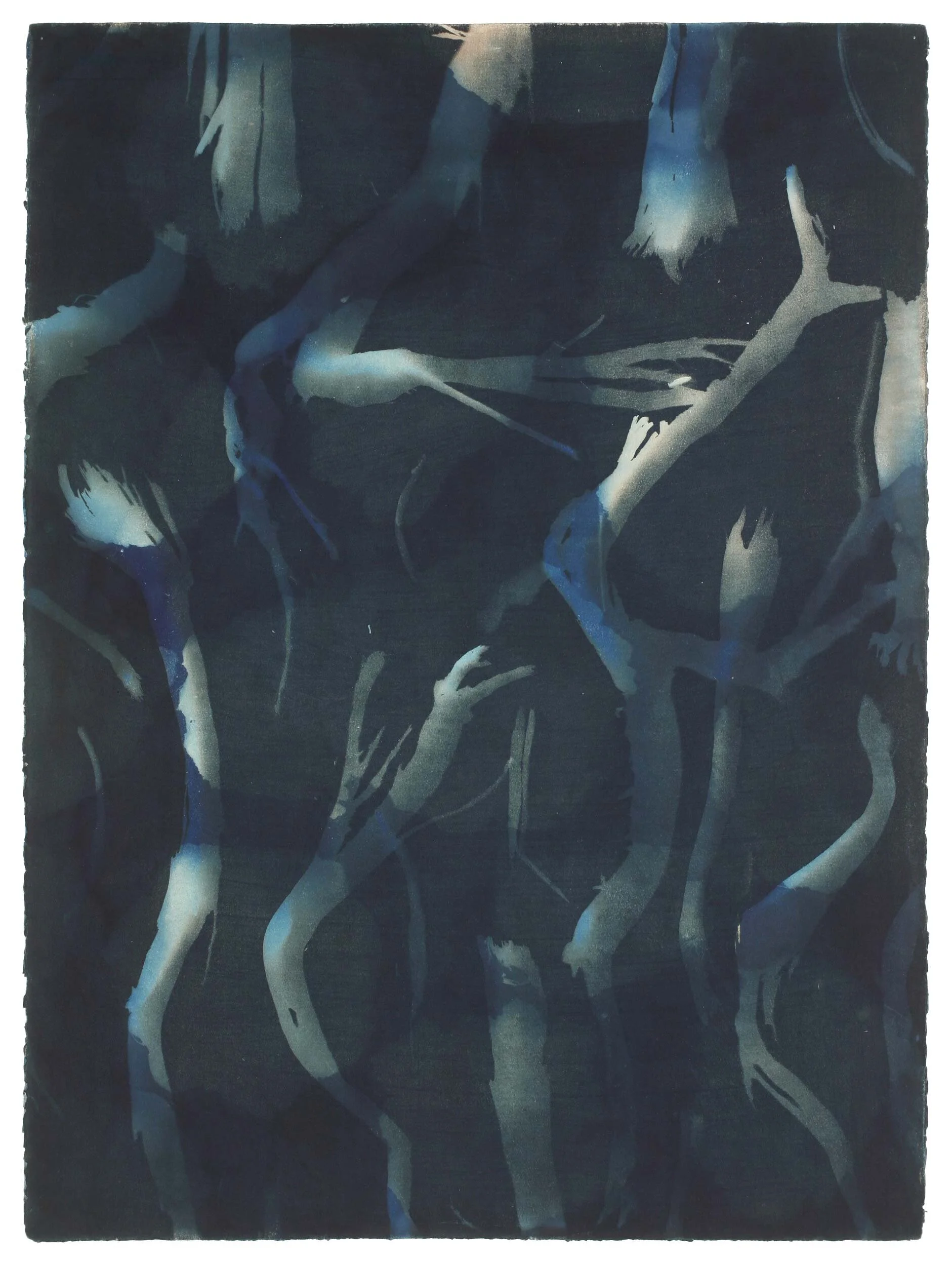 David W Simpson — Harris Harvey Gallery