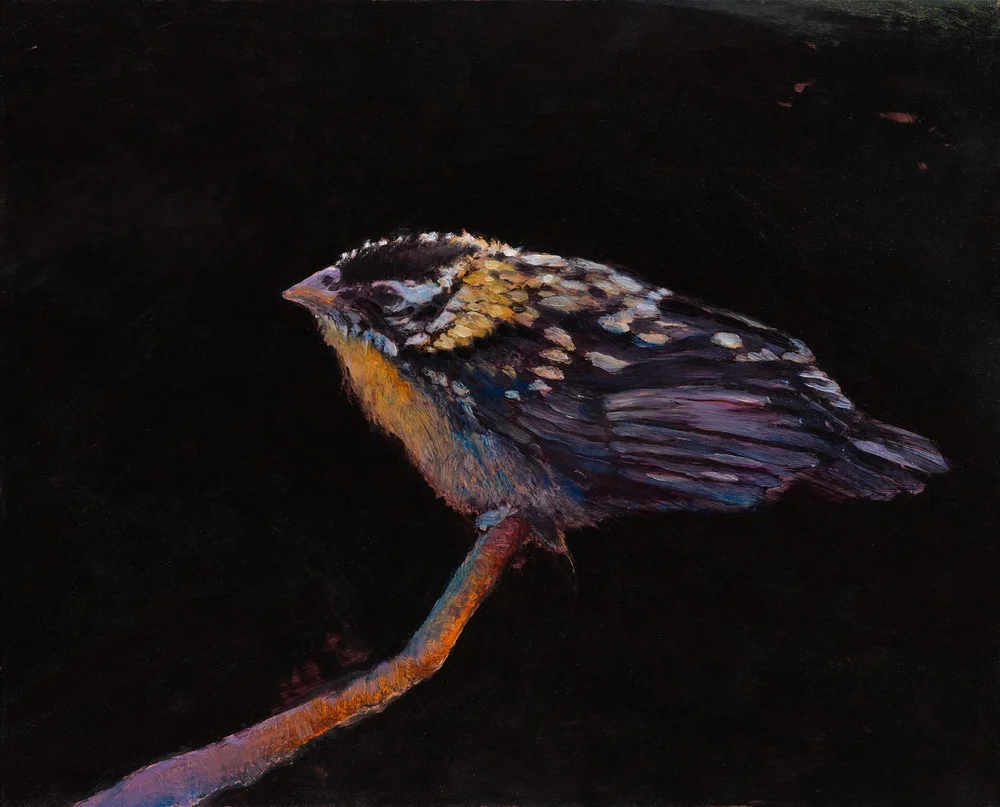 Kent Lovelace - Northwest Artist — Harris Harvey Gallery