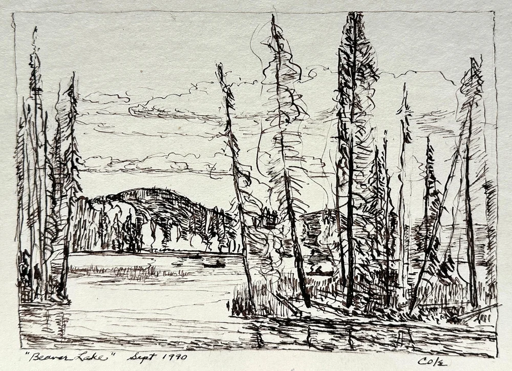 John Cole - Paintings and Drawings — Harris Harvey Gallery