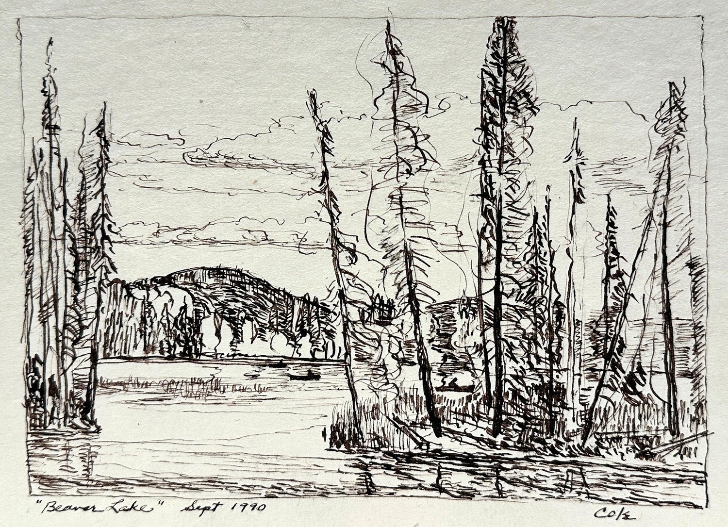 John Cole - Paintings and Drawings — Harris Harvey Gallery