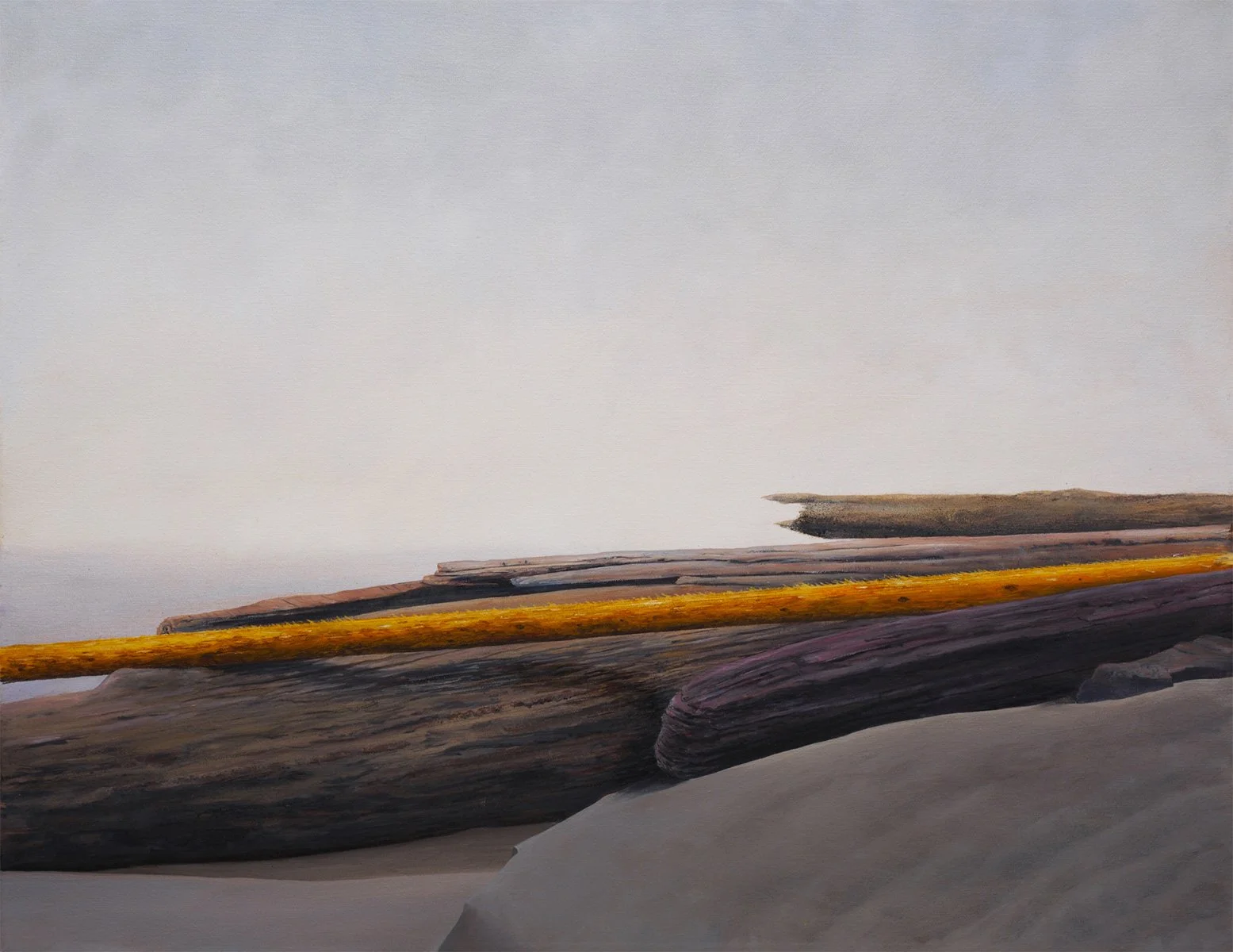 Fred Holcomb - Artist — Harris Harvey Gallery