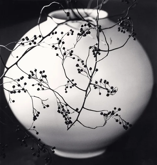 Michael Kenna Photographer — Harris Harvey Gallery